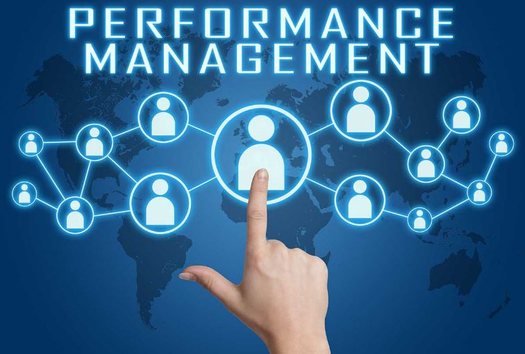 Performance Management Techniques HRM Dissertation